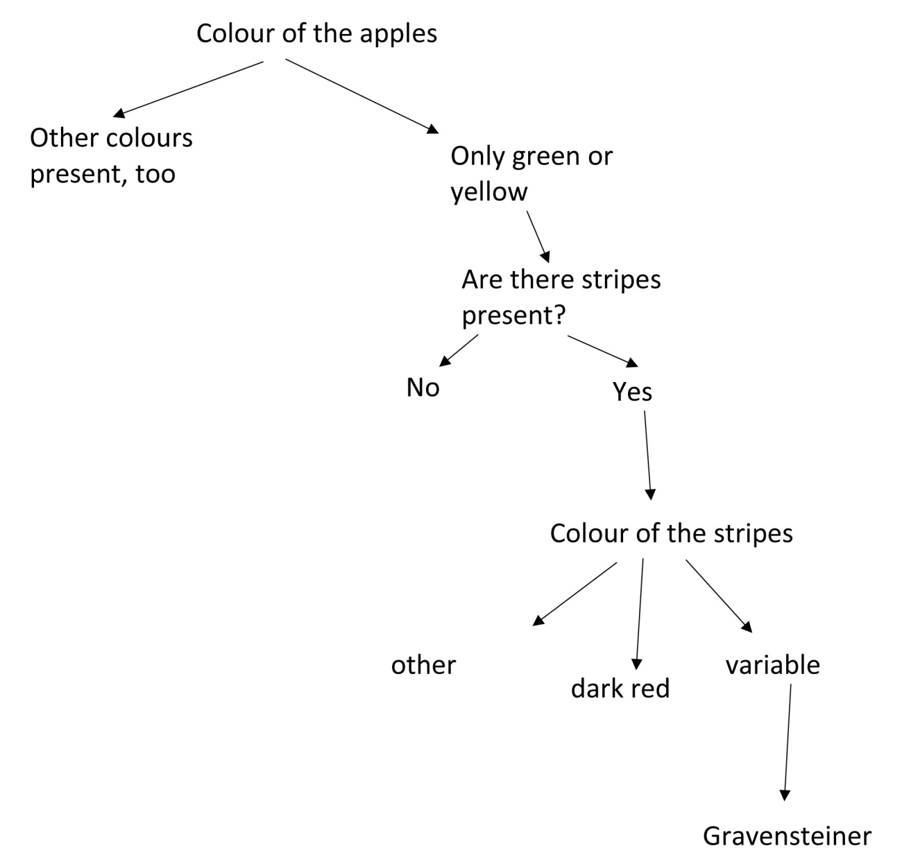 Apple Tree Identification and Biodiversity | Science On Stage Europe