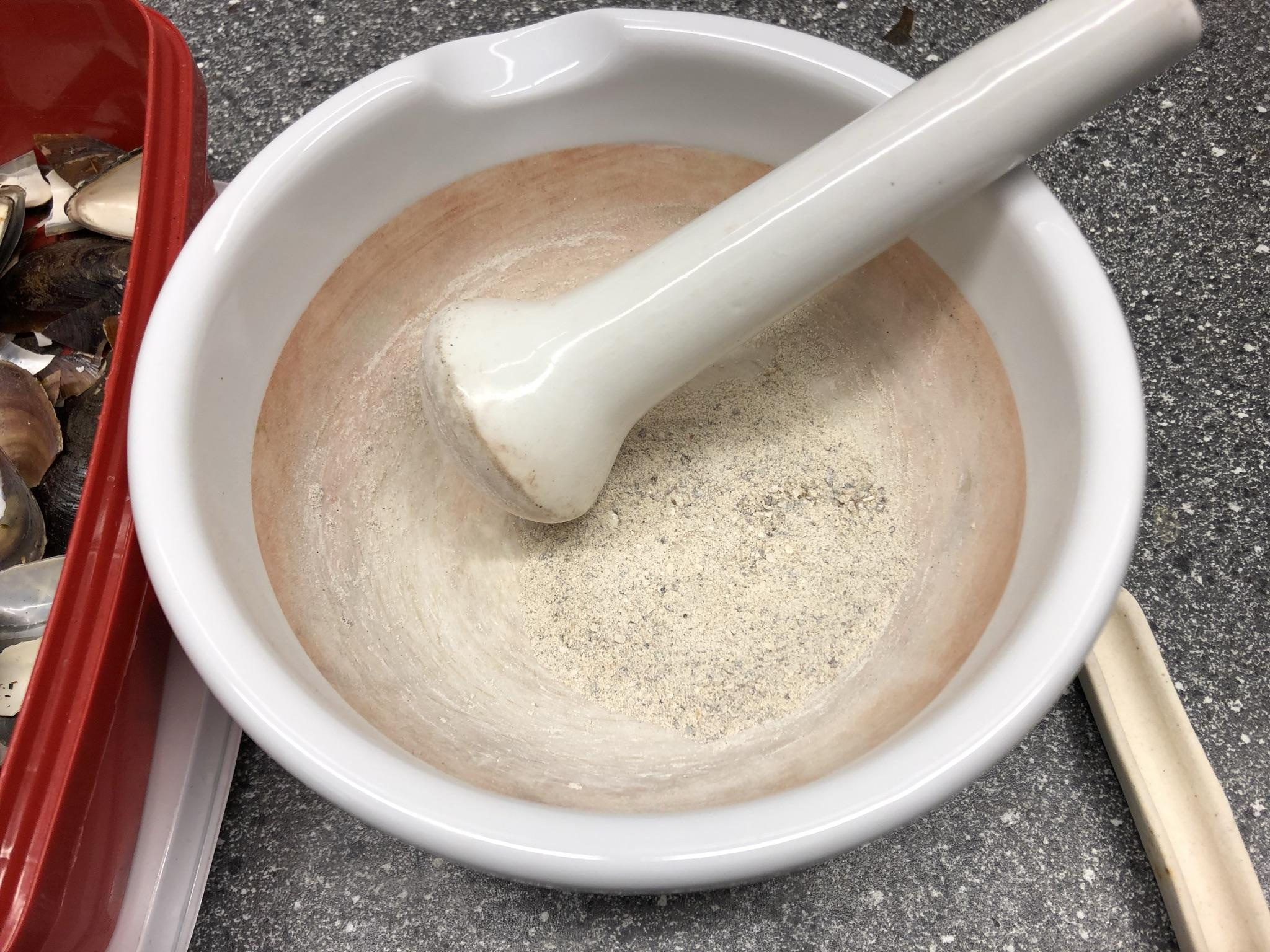 The 3 Rs - Making Cement from Mussel Shells | Science On Stage Europe