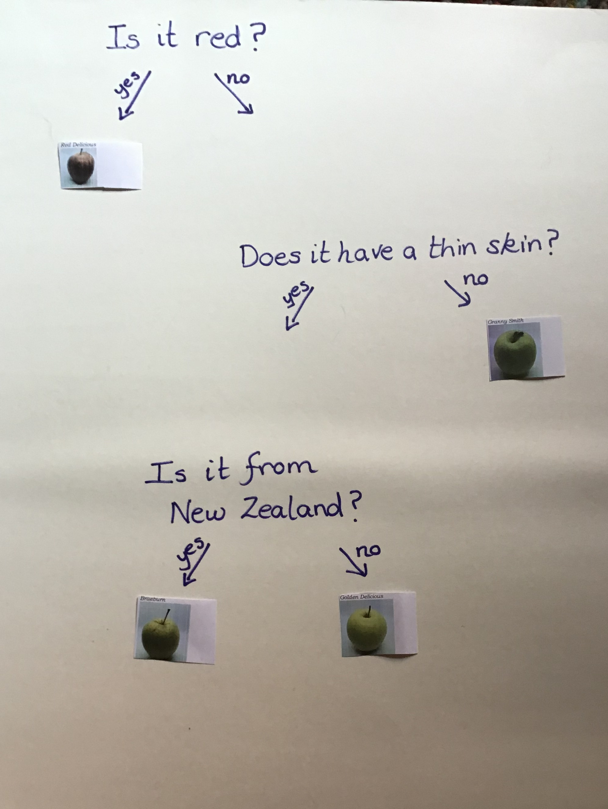 Apple Tree Identification and Biodiversity | Science On Stage Europe