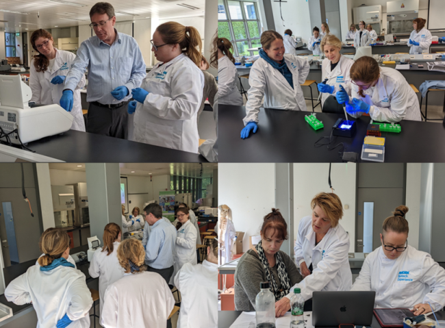 Workshop: The Good, the Bad and the Complex | Science On Stage Europe